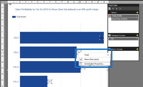 Expression Report Builder Examples And Guides Master Data Skills Ai