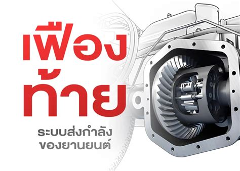 เฟืองท้ายคืออะไร หน้าที่ การทำงาน และการดูแลรักษา Byd Bd Auto Group