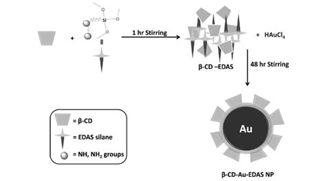 Schematic Preparation Of The Synthesis Of β Cd Au Edas Nanomaterial