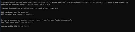 Setting Up Openvpn Access Server In Amazon Vpc Aws Geeksforgeeks