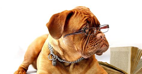 Jqueryのappendで追加した要素を変数に格納したい時のやり方 Webデザインとかコーディングを勉強中の方に届けたいtipsを発信するブログ