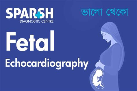 Fetal Echocardiography Sparsh Diagnostic Center
