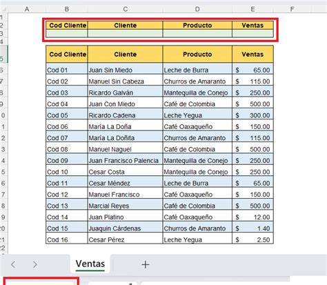 EnseÑanza Para El Futuro Vba Filtros Avanzados Práctica 14