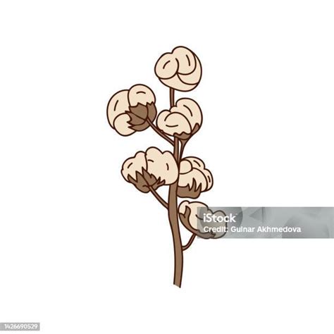 면화 식물 분기 벡터에 다채로운 낙서 일러스트레이션 벡터의 면화 식물 분기 그림 벡터에 면화 식물 다채로운 아이콘 코튼볼에 대한 스톡 벡터 아트 및 기타 이미지 Istock