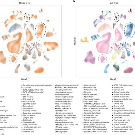 Pdf Multi Omics Single Cell Data Integration And Regulatory Inference With Graph Linked Embedding
