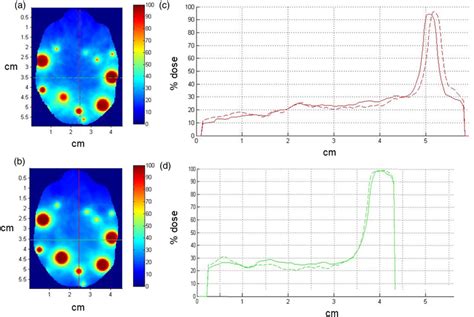 Dose Profiles Validating Dose Calculation Accuracy Of The Simulation
