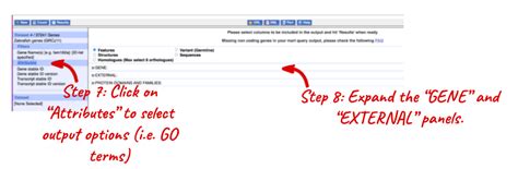 Exporting Gene Data With Biomart Demo