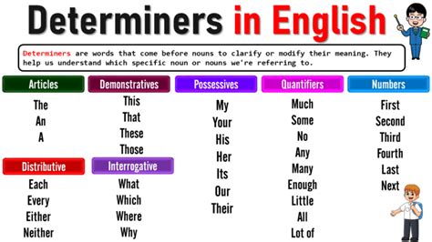 Understanding Determiners In English Types And Examples