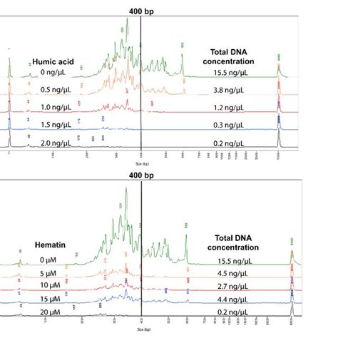 Fragment Analyzer Results For Sequencing Libraries Prepared In The Download Scientific Diagram