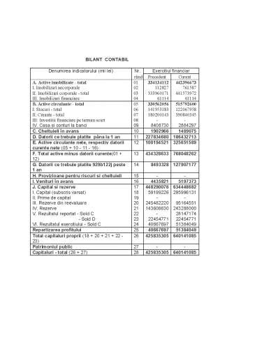 Bilanț Contabil Referat [docx]