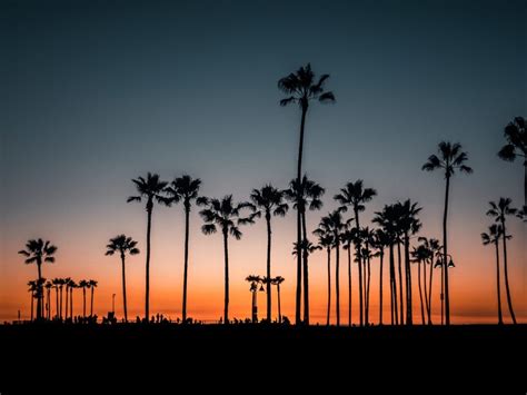 100 Hottest Instagram Models Sexy Instagram Models Swagger