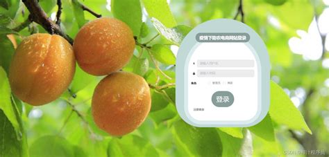 Springboot Javaweb Javaweb Csdn