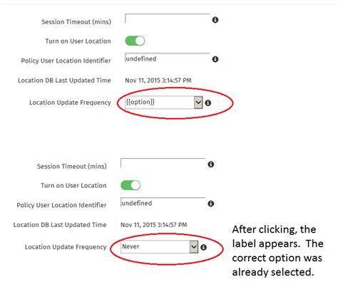 Internet Explorer AngularJS Select Option Not Displaying In IE Stack Overflow