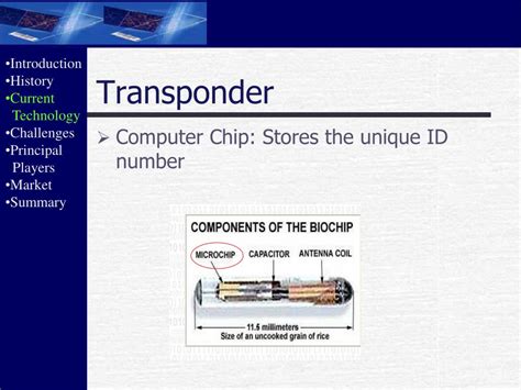 PPT Biochips PowerPoint Presentation Free Download ID