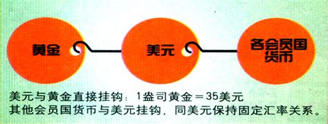 三大经济支柱的出现是世界经济朝着体系化和制度化方向发展的反映 试题信息