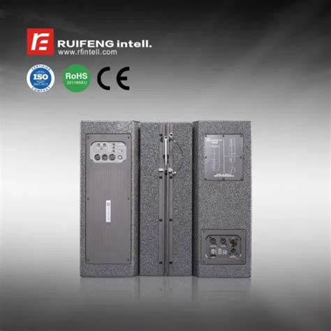 Powered Line Array Speaker Active Subwoofer With DSP Amplifier Module Powered Speaker And