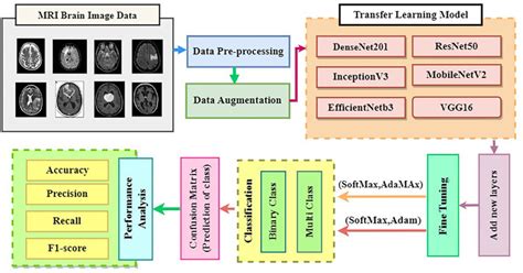 Brain Tumor Classification Using Fine Tuned Transfer Learning Models On Magnetic Resonance