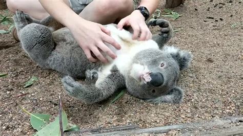 Mukesh Rajpurohit Posted On Linkedin