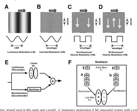 Figure 1 From Motion Defined Contour Processing In The Early Visual