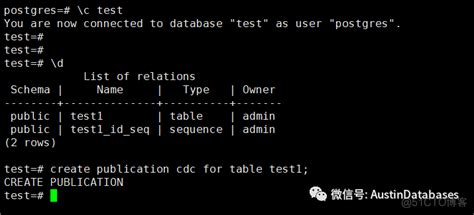 Postgresql 逻辑复制与cdc捕捉构建实时数据分析平台wx5c241fe5127d0的技术博客51cto博客