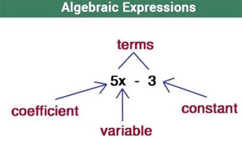 Evaluating Simplifying And Writing Expressions 6th Grade Quiz Wayground