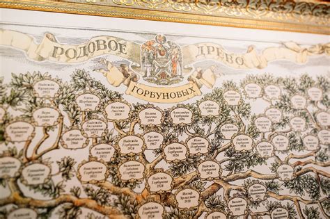 Как составить родословную где брать данные с чего начать этапы составления