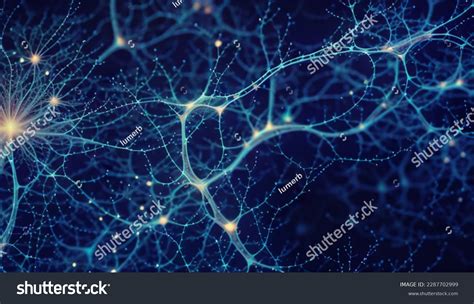 Neurons In The Brain Wallpaper