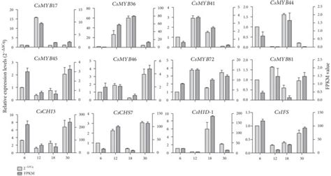 Validation Of The Transcriptomic Data With Rt Qpcr A Comparison Of Download Scientific