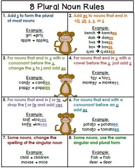 Singular And Plural Nouns Definitions Rules And Examples Teaching