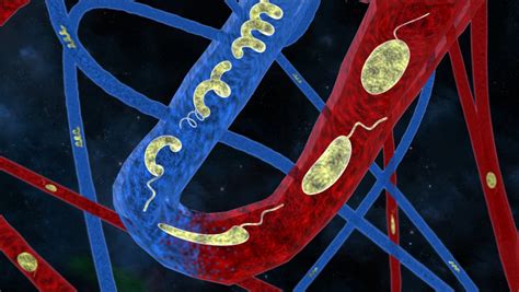 Microrobots Could Re Shape Drug Delivery • Healthcare In