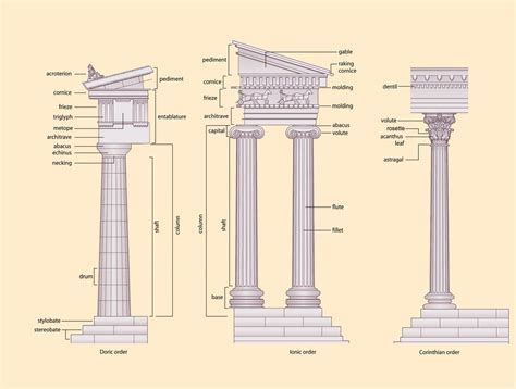 Classical Orders Diagram Ii Classical Order Architecture Ancient