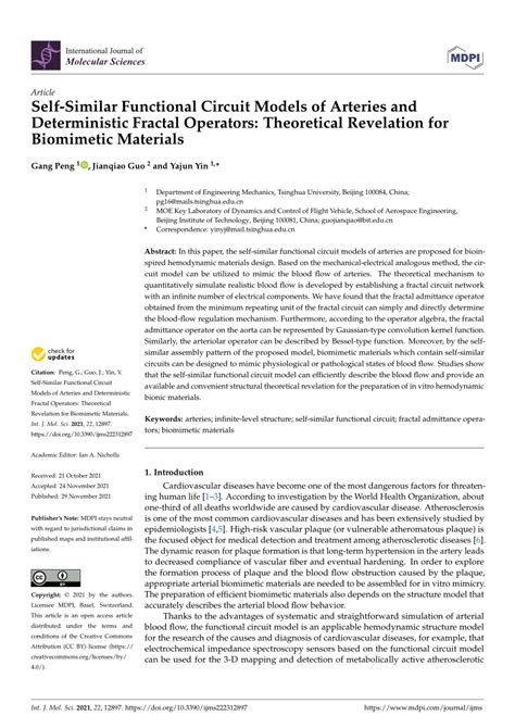 Pdf Self Similar Functional Circuit Models Of Arteries And