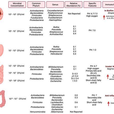 Schematic Illustration Of Regional Diversity Of The Microbiome Along