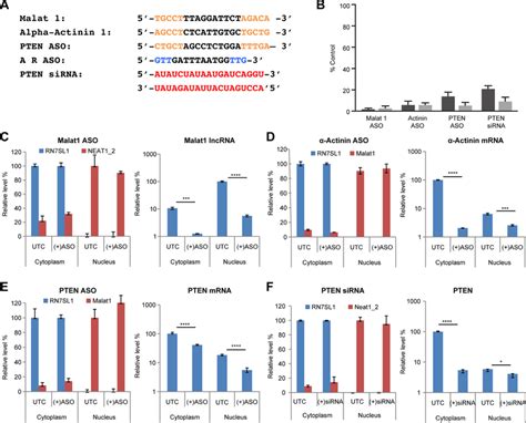 ASO Or SiRNA Mediated Reduction Of Target RNA And Subcellular Download Scientific Diagram