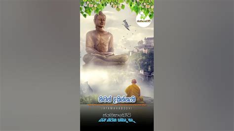 බුදු හාමුදුරුවෝ අපිත් දකින්නැති Youtube