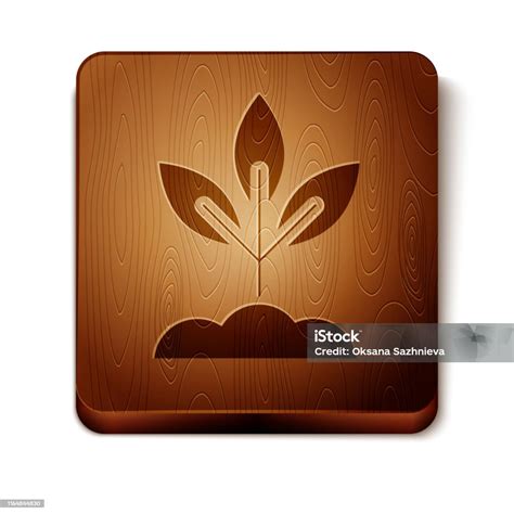 흰색 배경에 격리 된 갈색 식물 아이콘입니다 종자 및 묘목 나뭇잎 기호입니다 잎 자연입니다 나무 사각형 버튼입니다 벡터 일러스트레이션 0명에 대한 스톡 벡터 아트 및 기타