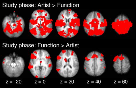 Figure S2 Results Of GLM Analyses Showing Task Related Differences Download Scientific Diagram