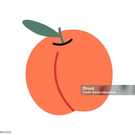 전체 복숭아 과일 만화 스타일 벡터 일러스트 레이 션은 흰색 배경에 고립되어 있으며 손으로 그린 평면 디자인 0명에 대한 스톡 벡터 아트 및 기타 이미지 Istock