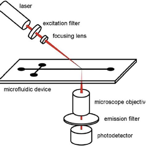 Common Setup Used In Microfluidic Device For Fluorescence Detection Download Scientific Diagram