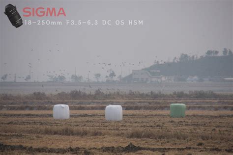 [렌즈] 가을 풍경을 담으러 가는 길 시그마 18 250mm F3 5 6 3 Dc Os Hsm과 함께 에누리 쇼핑지식 리뷰