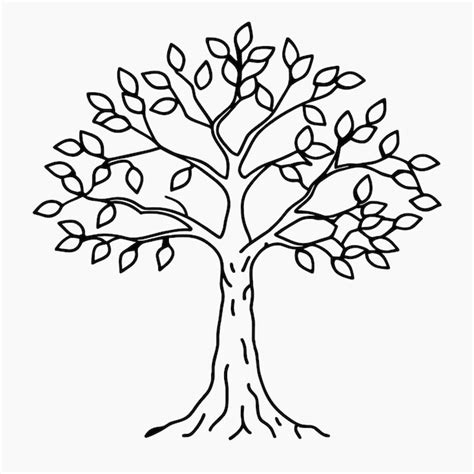 Tree Of Life Vector Illustration Line Art Premium AI Generated Vector
