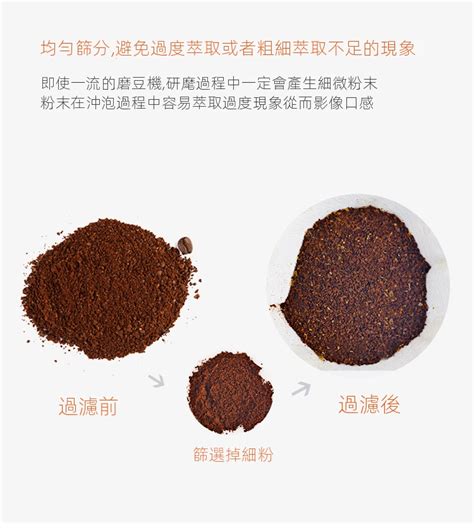 【現貨快發】咖啡篩粉器 304咖啡篩粉器 不銹鋼篩粉器 篩粉杯 接粉器 咖啡濾粉器 篩粉器咖啡 細粉過濾器 咖啡篩網 蝦皮購物