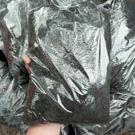 Jual Media Tanam Kaktus Dan Sukulen Ukuran Besar Shopee Indonesia