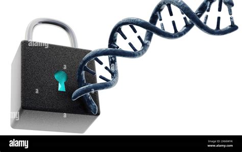 3d Rendering Of Dna Helix And Padlock Protecting Privacy And Data