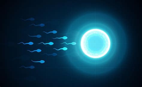 정자와 난자 생식 의학 건강 관리 임신 배경 수정 과정 설계 프리미엄 벡터