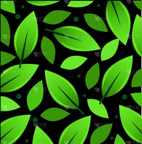 叶子 式样 活力 华丽的 纺织品 环境 简单 植物 夏天
