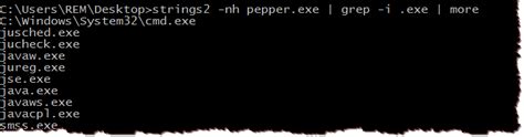 how to run exiftool by phil harvey egyptasl