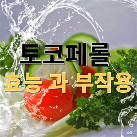 토코페롤비타민e의 효능과 부작용 제품 추천 원스헬스