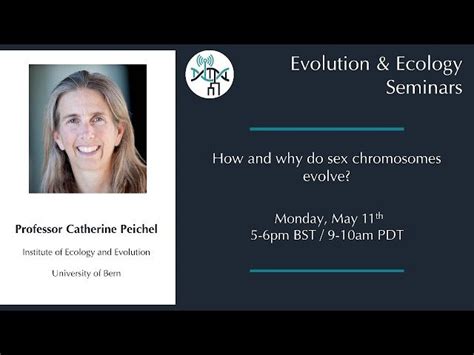 Free Video How And Why Do Sex Chromosomes Evolve From Evoecoseminars Class Central